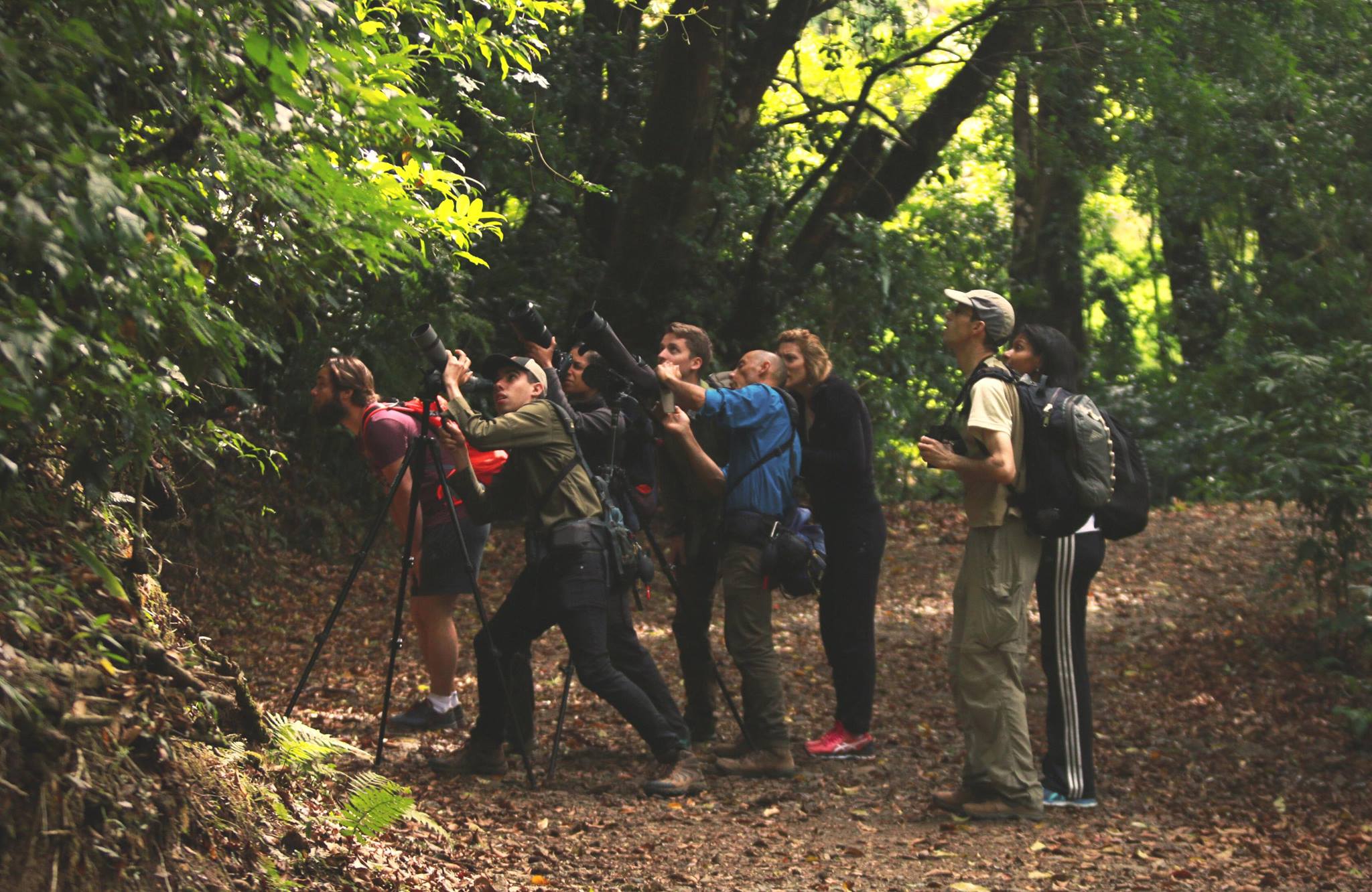 Curi Cancha Reserve Hiking & Birdwatching Tour Costa Rica