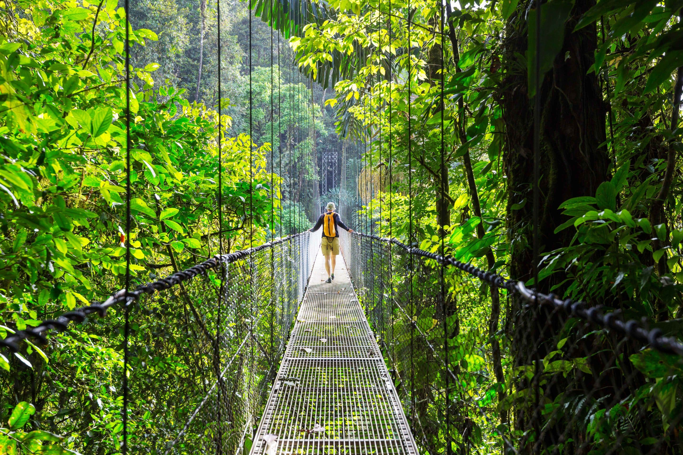 The Ultimate Bucket List: Top Things to Do in Costa Rica