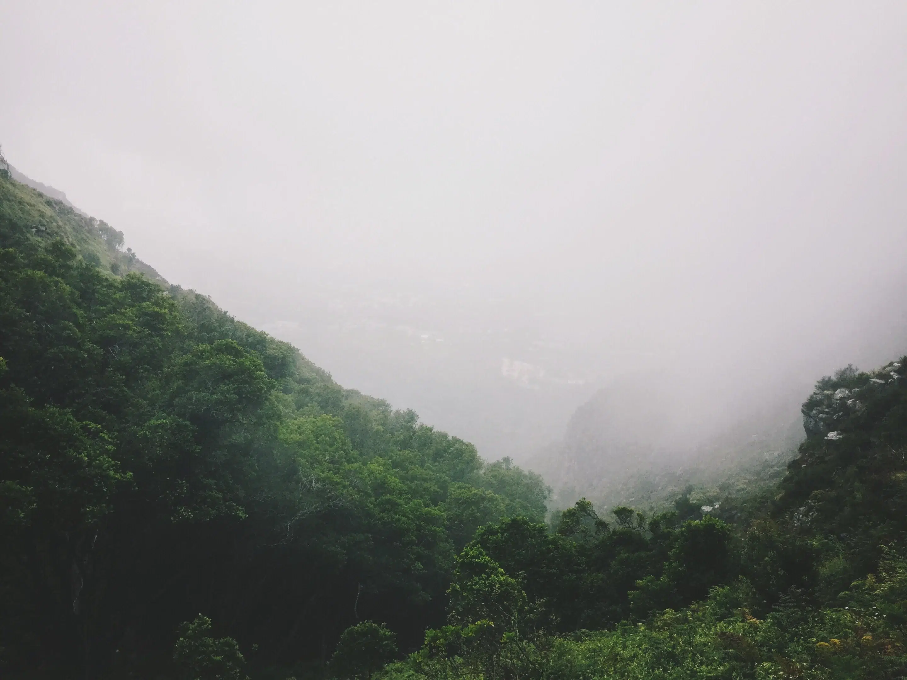 Top Monteverde Tour Packages: Which One Suits You?